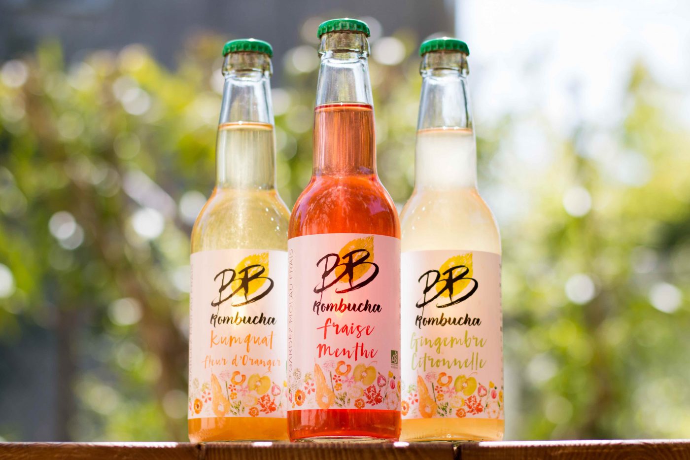 Saveurs : BB Kombucha fait pétiller l'Occitanie - Dis-leur