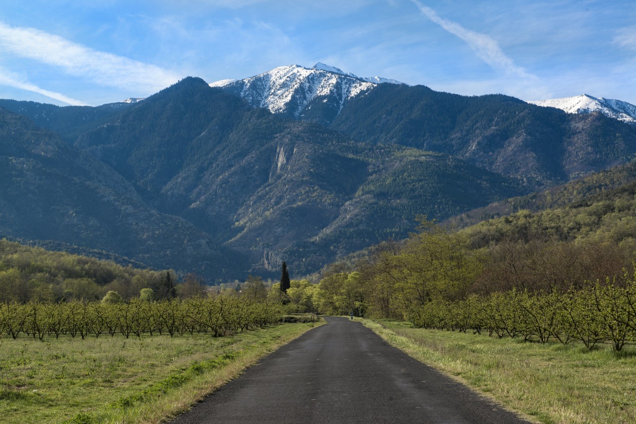 Tourisme : La saison estivale du Canigou vise les sommets - Dis-leur
