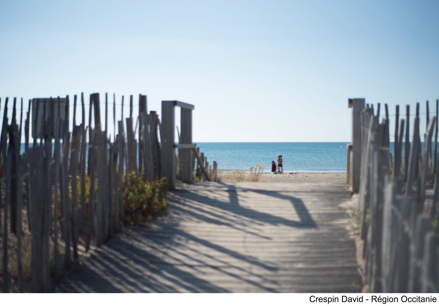 RMP0042378_Crespin David - Region Occitanie__original - Dis-leur