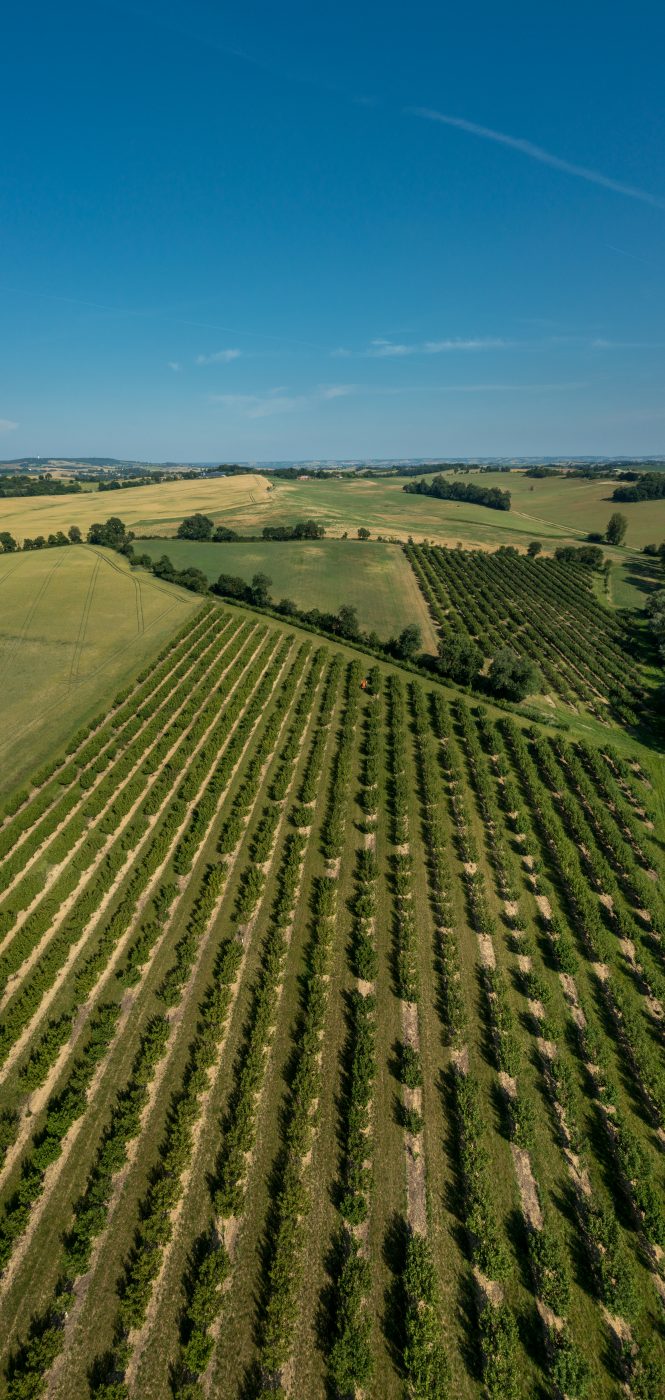 © CD31- Romain Saada - Dis-leur