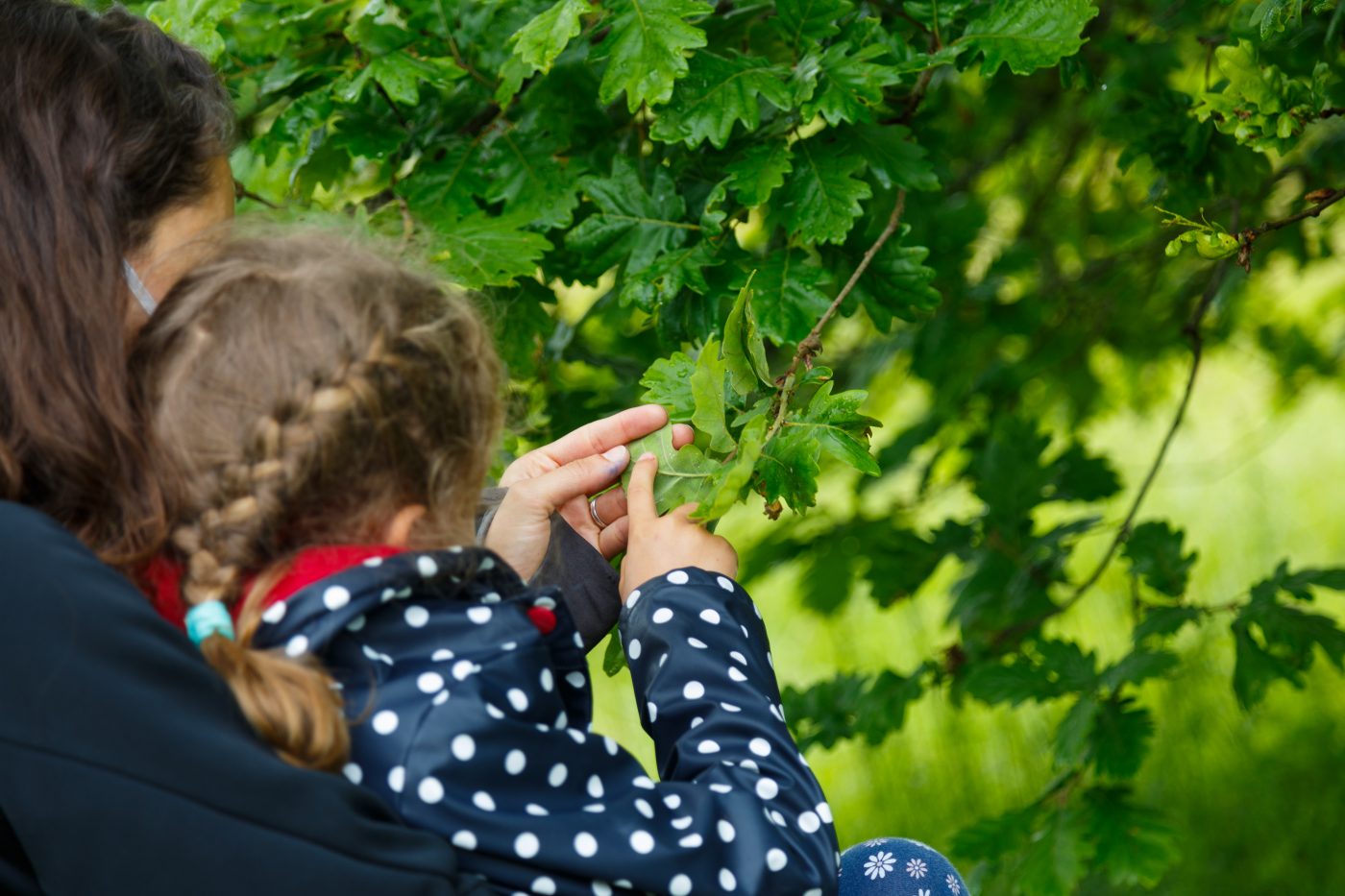 © CD31 - Romain Saada - Dis-leur