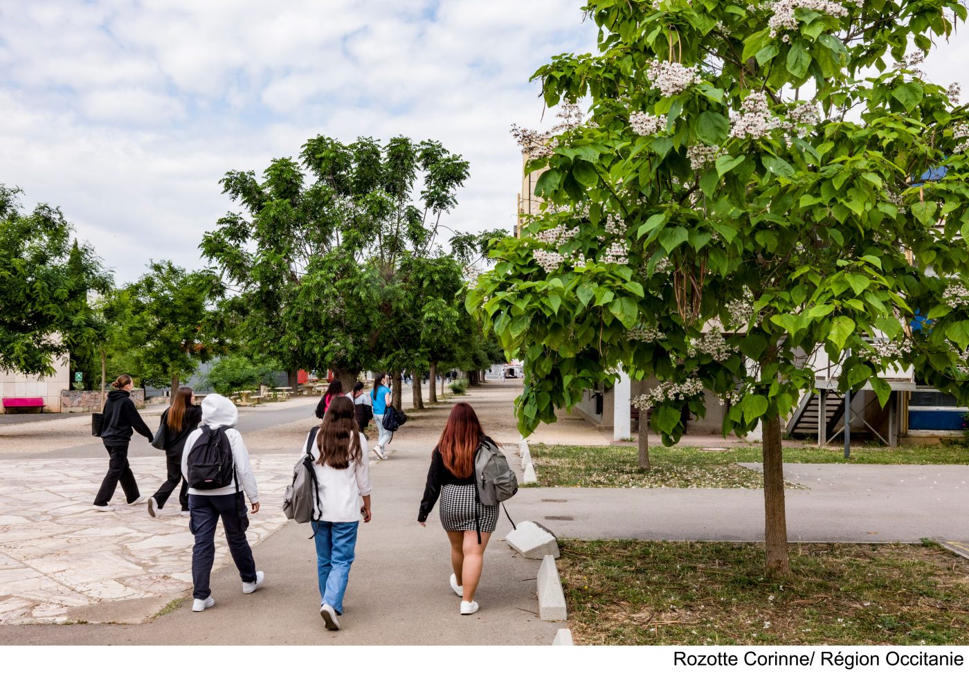 Carole Delga : "Tous les trains et cars régionaux gratuits pour les 12 ...