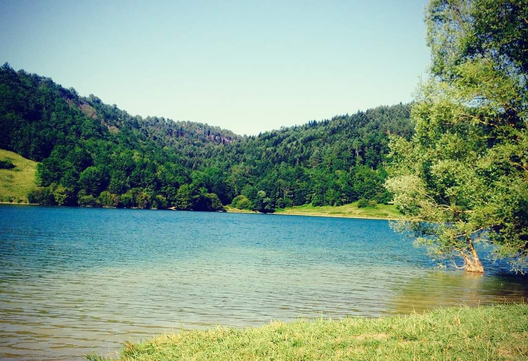 Ariège : Remous autour d'un projet solaire : le cas d'école du lac de ...
