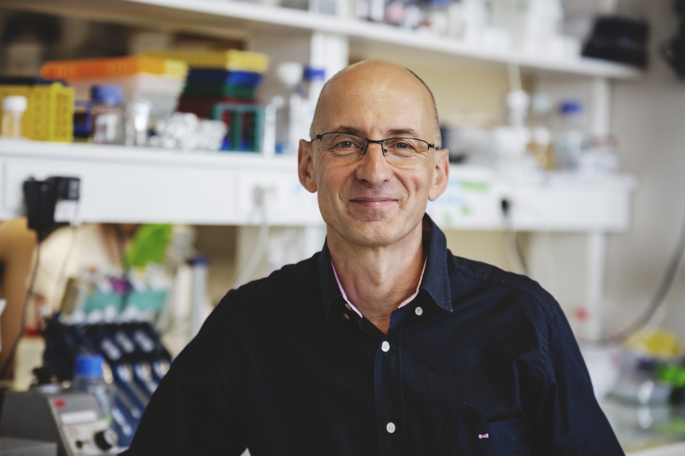 Découverte à Toulouse : La graisse brune, un espoir dans la lutte ...